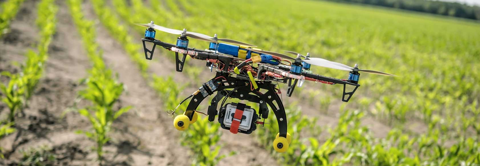 Marché de l'intelligence artificielle dans l'agriculture: 2 milliards ...